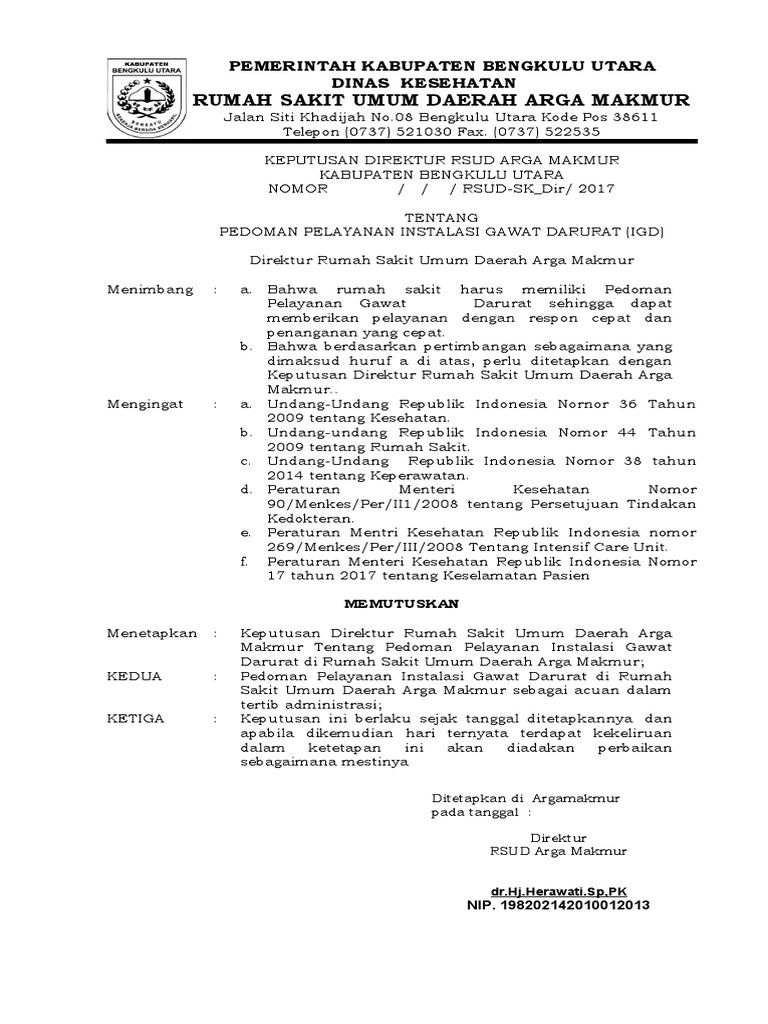 SK Pedoman Pelayanan IGD | PDF