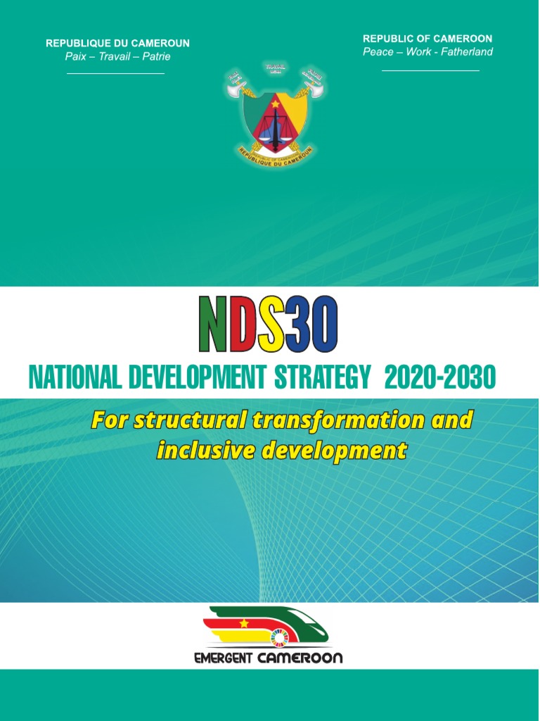 National Development Strategy 2020 2030 | Download Free PDF ...