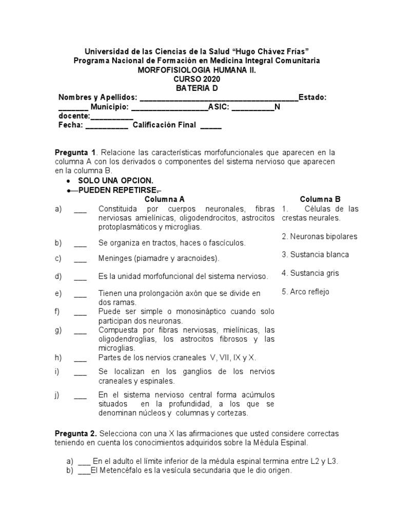 Morfo 2 Sample VIII | Descargar gratis PDF | Cerebro | Sistema nervioso central