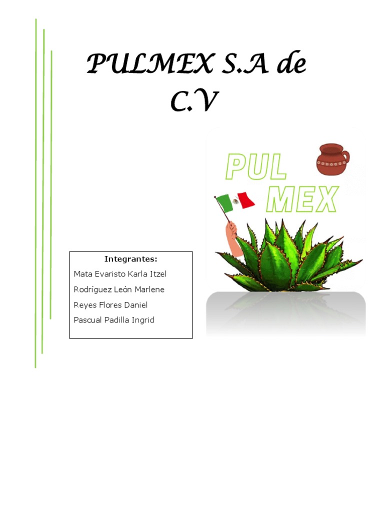 Pulmex S.A | PDF | Presupuesto | Economias