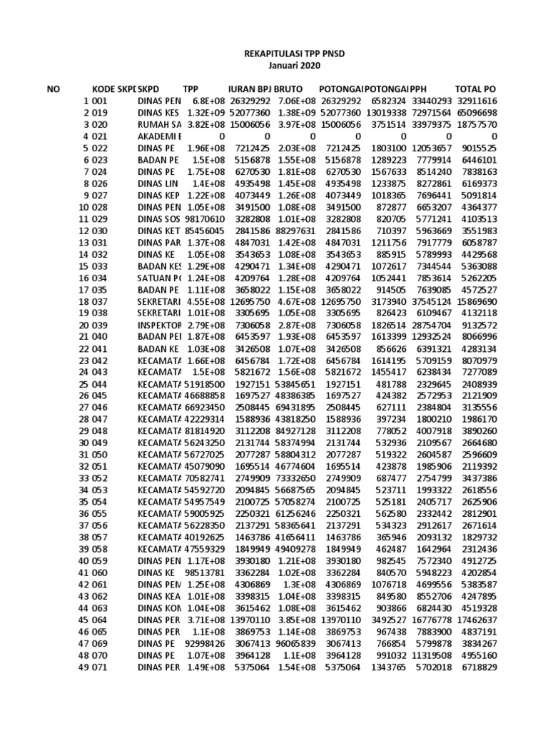 Rekapitulasi TPP PNSD Kabupaten Karo Januari 2020 | PDF