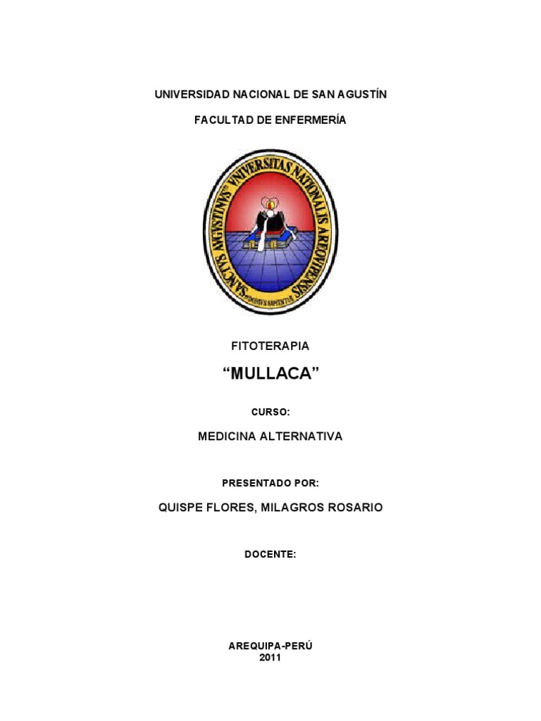 Propiedades y usos de la mullaca | PDF | Plantas medicinales | Medicina