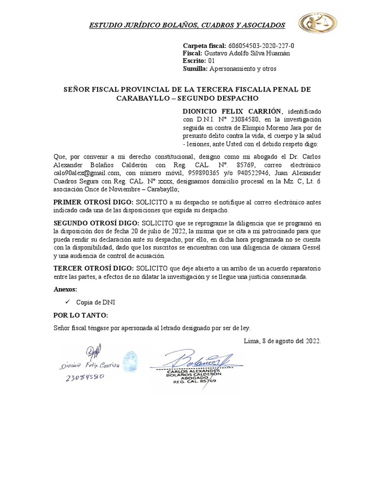 Apersonamiento y Otros Caso Dionicio | PDF | Derecho