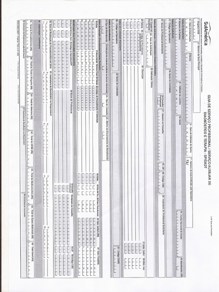 Guia Sadt Sulamerica | PDF