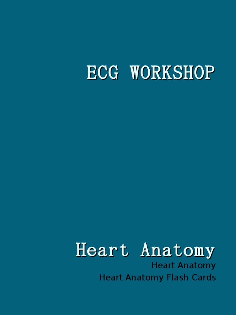 Ecg Workshop | PDF | Electrocardiography | Atrium (Heart)