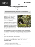 Sujeto Implícito y Explícito: Definición y Ejemplos | PDF | Asunto ...