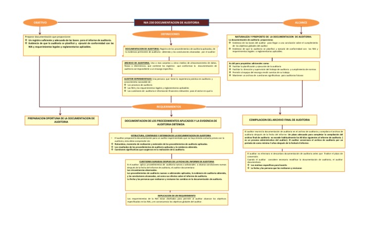 Esquema NIA 230 | PDF | Auditoría | Archivo de computadora