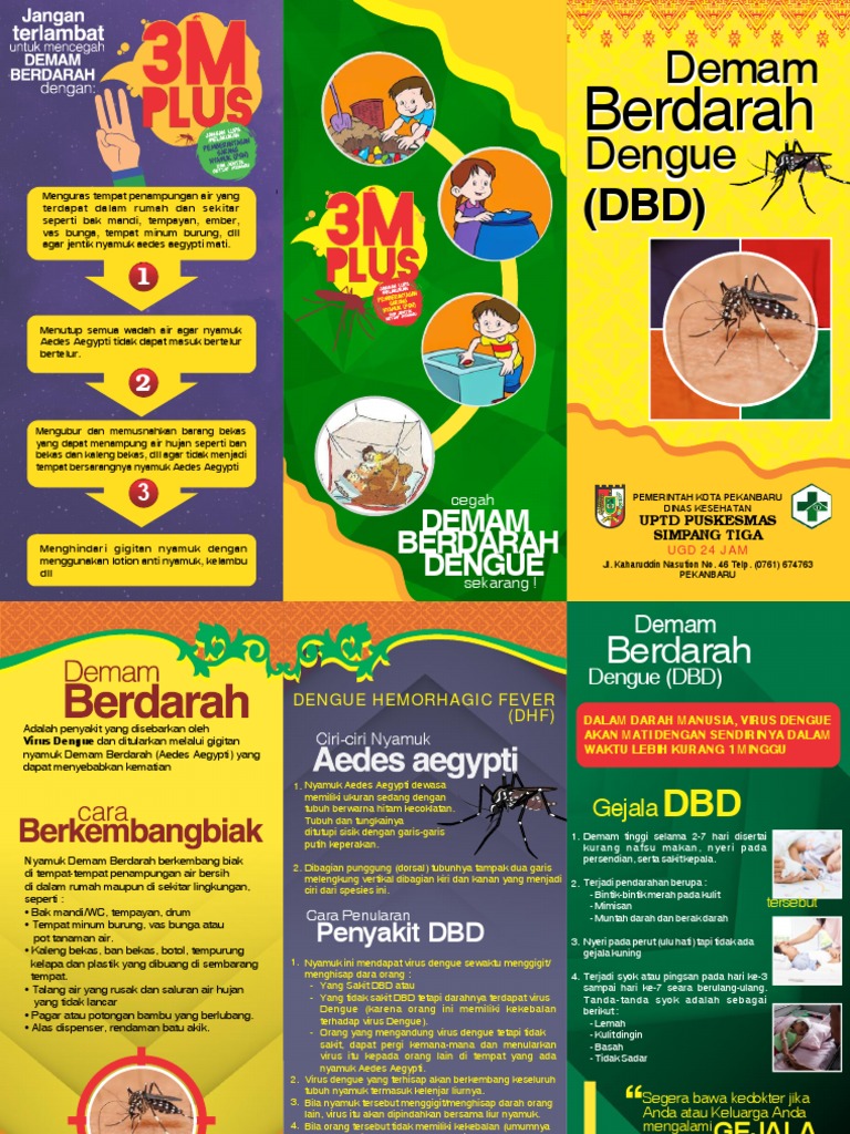 Brosur Demam Berdarah - CDR | PDF