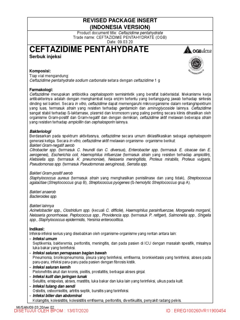PI Ceftazidime Pentahydrate Injeksi 1g | PDF
