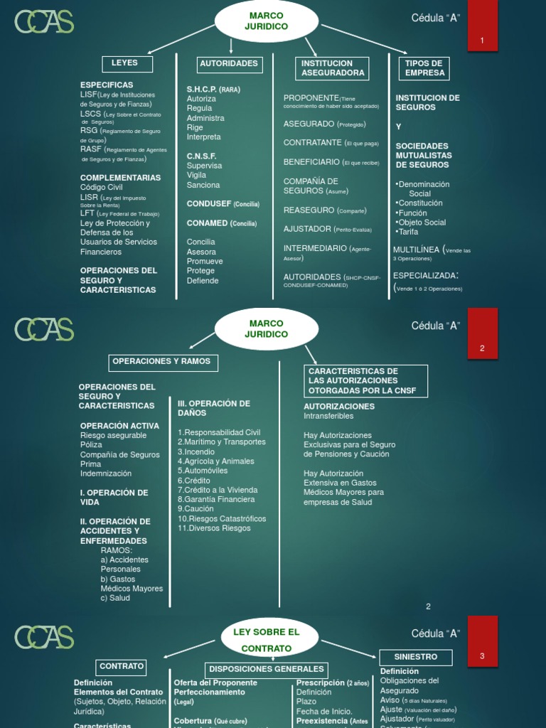 MAPAS CONCEPTUALES CEDULA A (1) | PDF | Seguro | Póliza de seguros