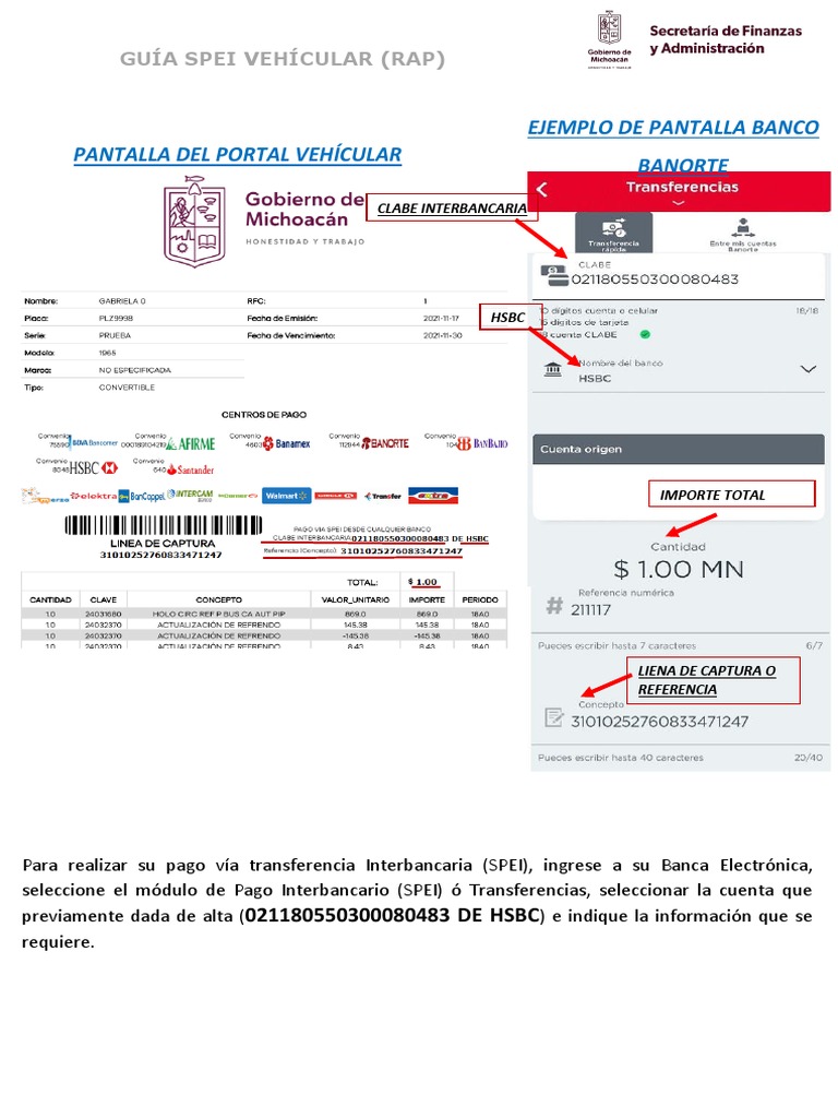 GUIA SPEI Vehicular | PDF