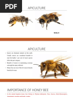 Beekeeping Training Manual | PDF | Honey Bee | Beehive