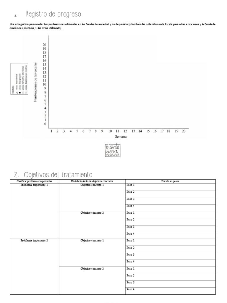 Registros de progreso y objetivos del tratamiento | PDF | Las emociones ...