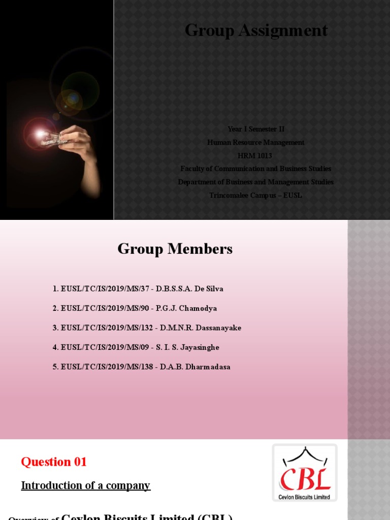 Group Assignment | PDF | Human Resources | Human Resource Management
