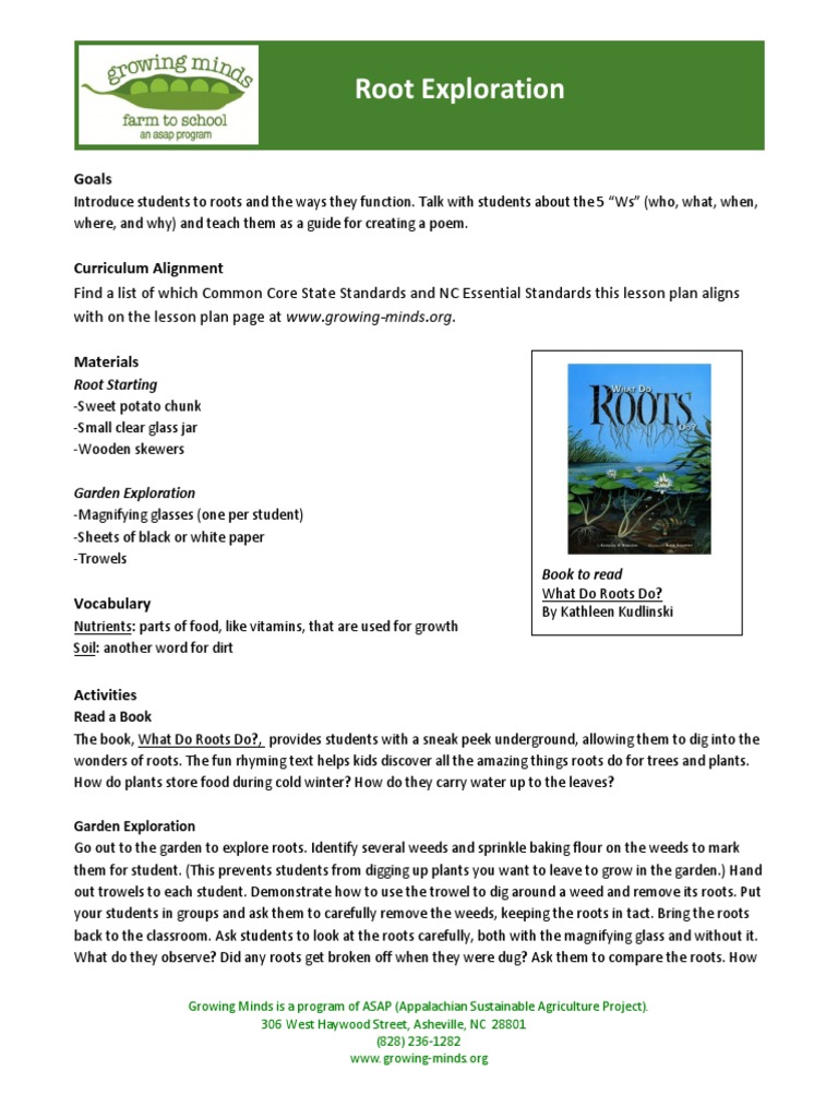 roots-exploration-lesson-plan | PDF | Phrase | Root