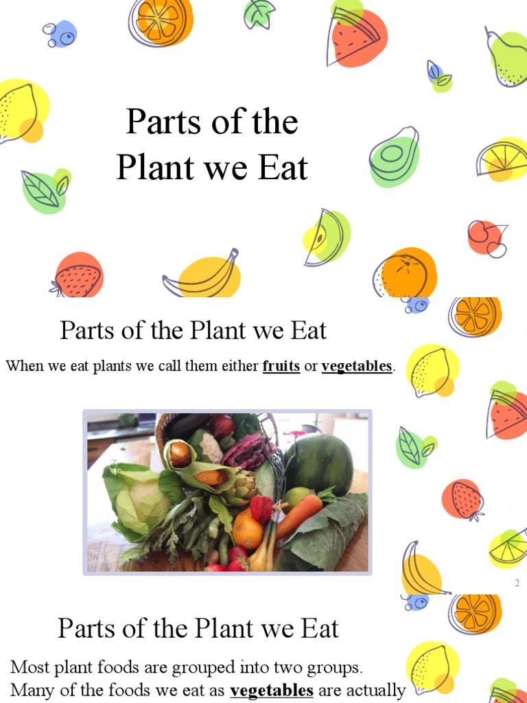 Parts of Plants We Eat Explained | PDF