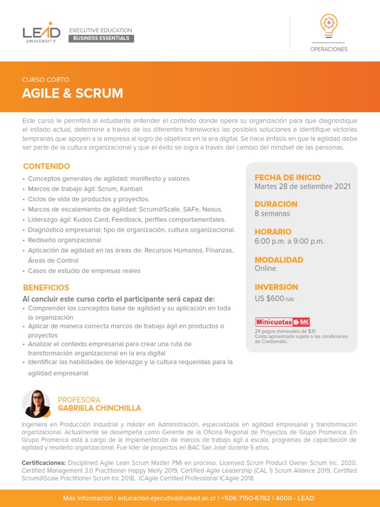 BESS Agile&scrum | PDF | Scrum (desarrollo de software) | Economias