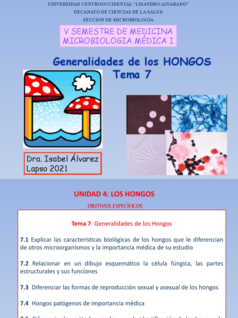 Tema 7 - Generalidades Hongos | PDF | Hongo | Reproducción