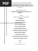 Hongo Z | PDF | Siembra | Hongo