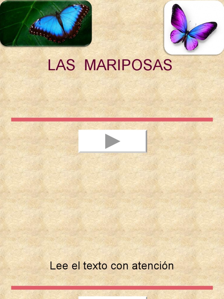 Comprension Mariposas | PDF | Seda | Mariposa