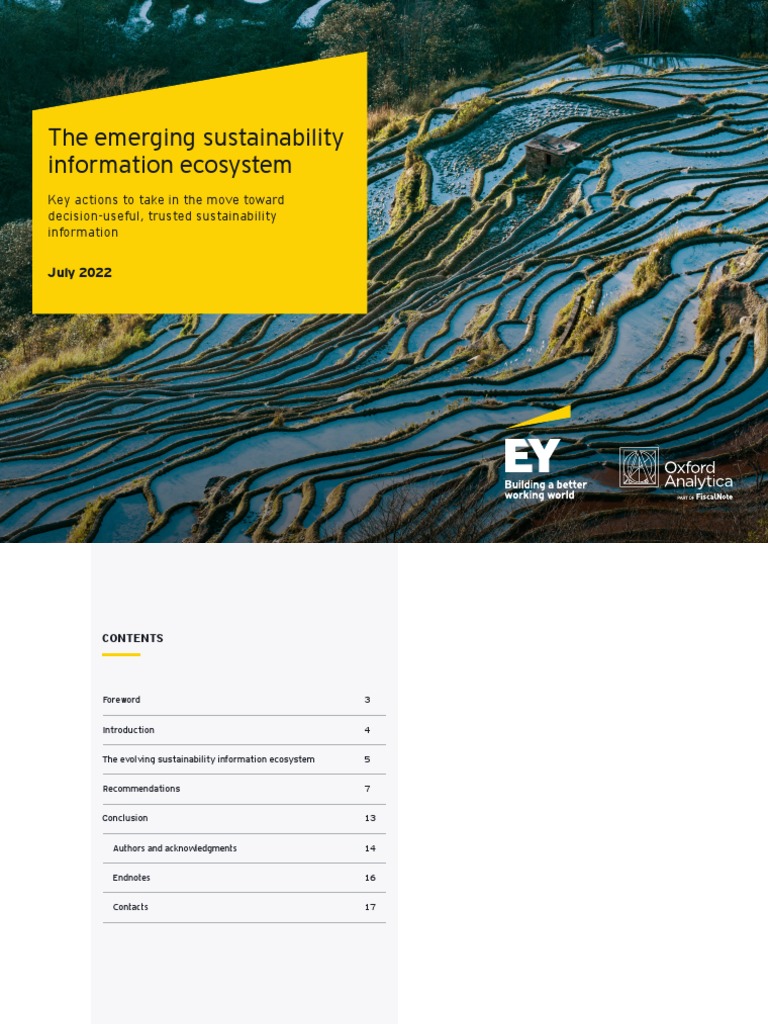 Ey Global Sustainability Thought Leadership | PDF | Sustainability | Risk