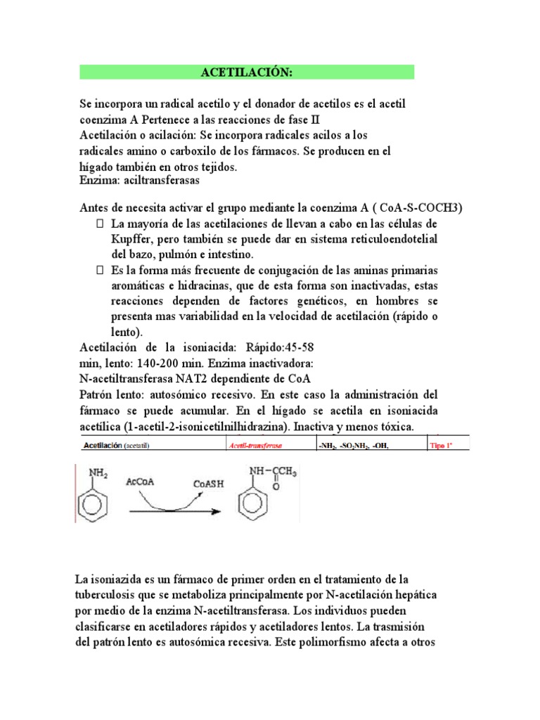 Acetilación: Polimorfismos y Hepatotoxicidad | PDF | Metabolismo | Enzima