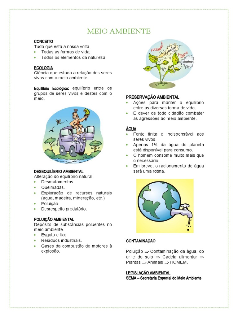 (Resumo) Meio Ambiente | PDF | Poluição | Poluição do ar (Resumo) Meio Ambiente | PDF | Poluição | Poluição do ar