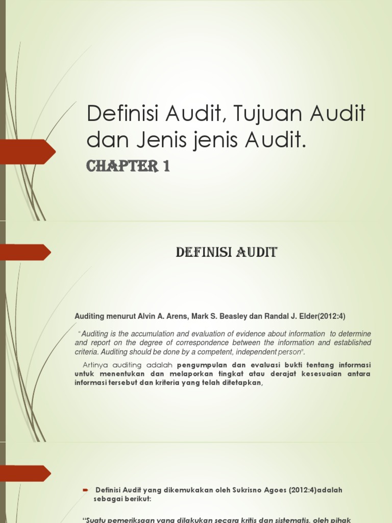 Audit 1 Chapter 1 | PDF