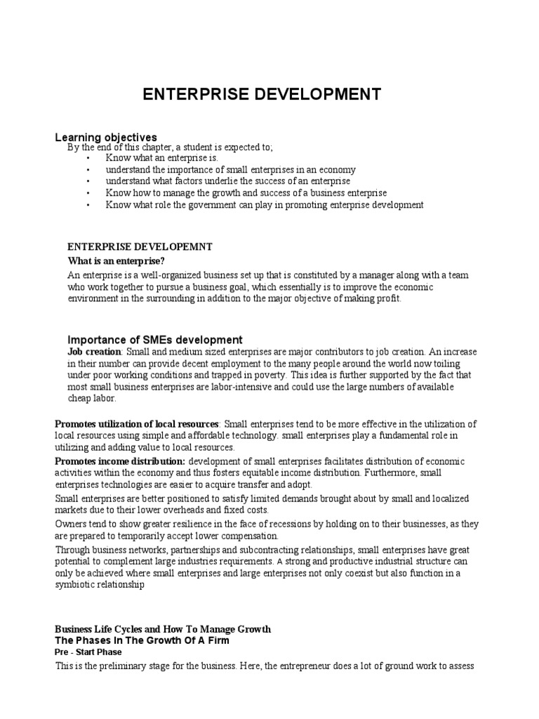 ENTERPRISE DEVELOPMENT | PDF | Overdraft | Loans