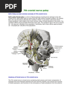 Visual Pathway | PDF | Visual System | Cerebral Cortex