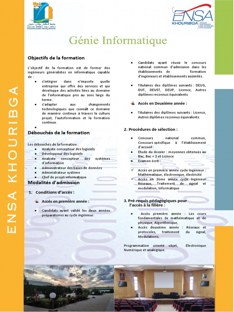 FI Génie Informatique | PDF | Informatique | Électronique