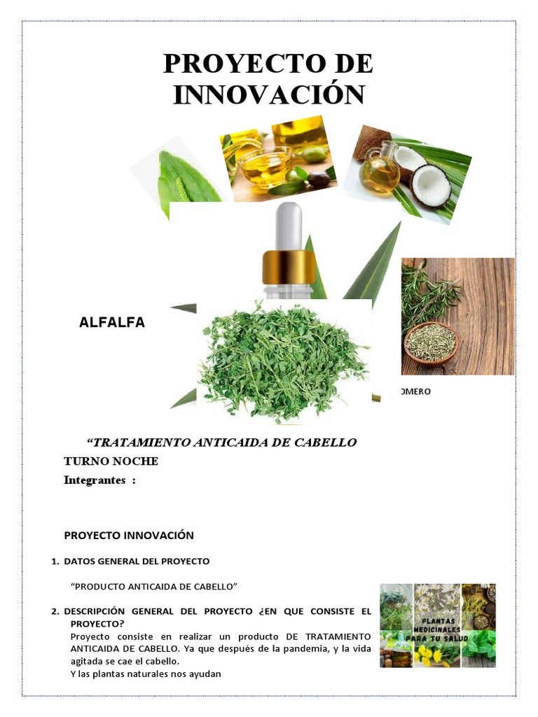 Proyecto de Innovación | PDF