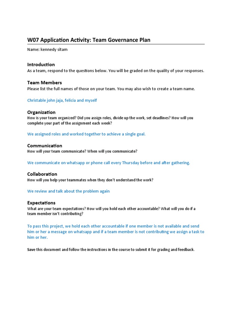 W07 Application Activity: Team Governance Plan | PDF