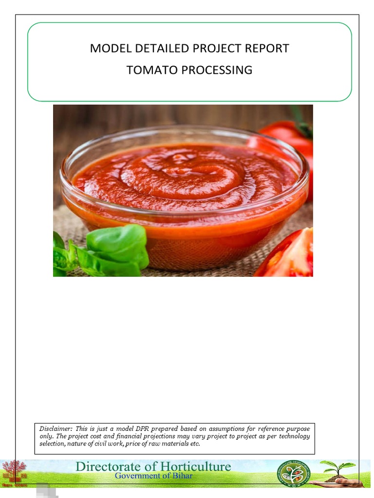 Model Detailed Project Report Tomato Processing | PDF | Ketchup | Foods