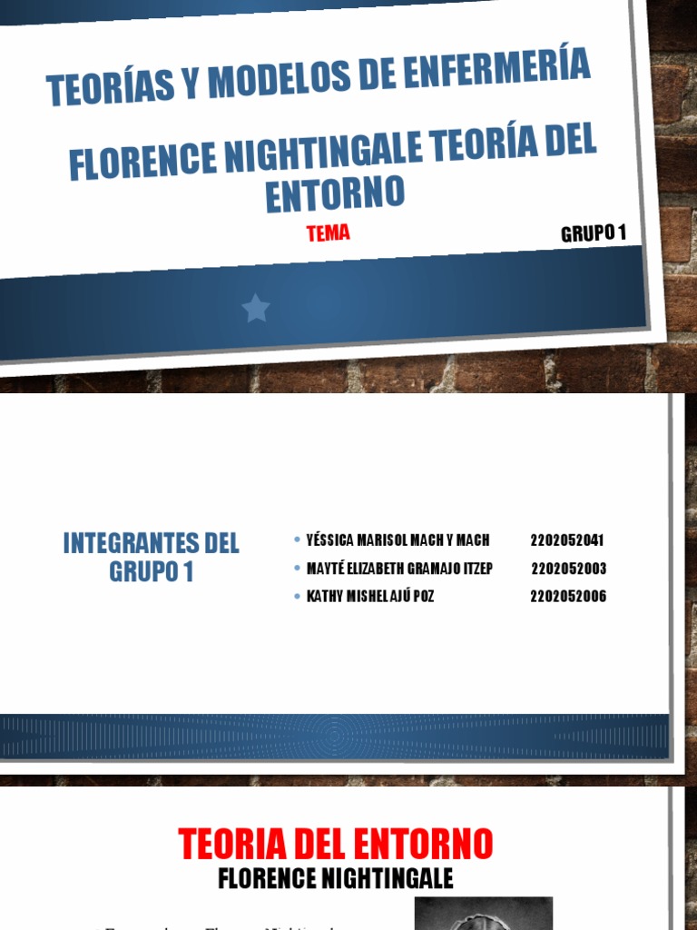 Teoria Florence Nightingale | PDF | Enfermería | Cuidado de la salud