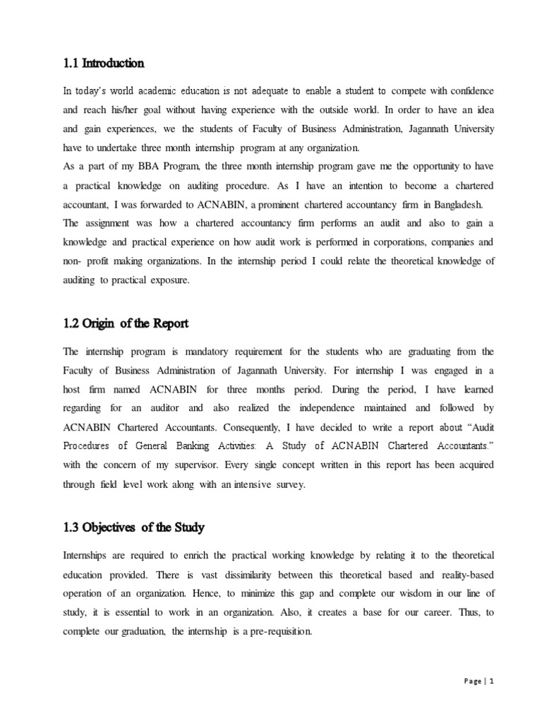 Main Report | PDF | Audit | Financial Audit