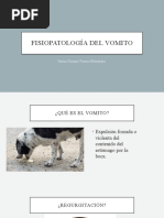 Función y Efectos de la Motilina | PDF | Diarrea | Intestino delgado