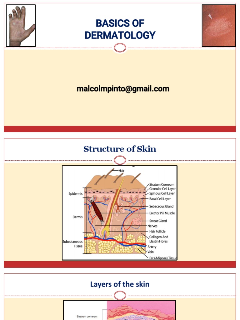 Basics of Skin Lesions Entrance | PDF | Skin | Epidermis