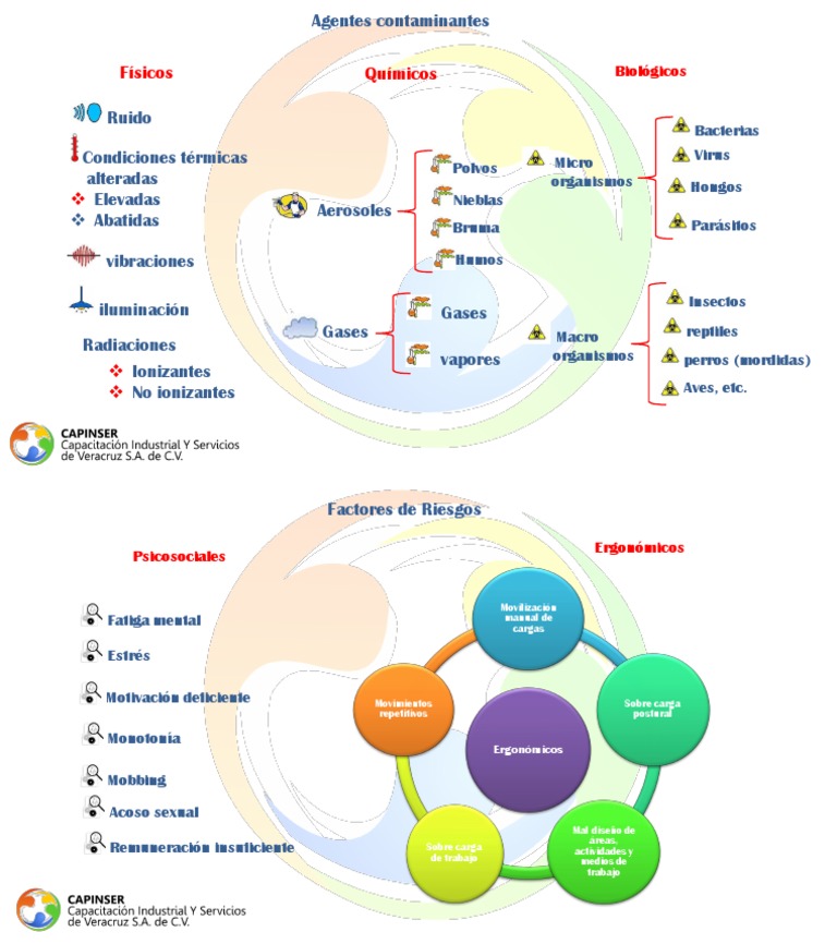 Agentes y Factores de Riesgo | PDF