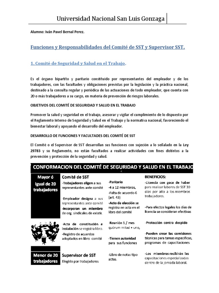 fUNCIONES Y RESPONSABILIDADES DEL COMITE SST Y SUPERVISOR SST | PDF | Valores | Justicia