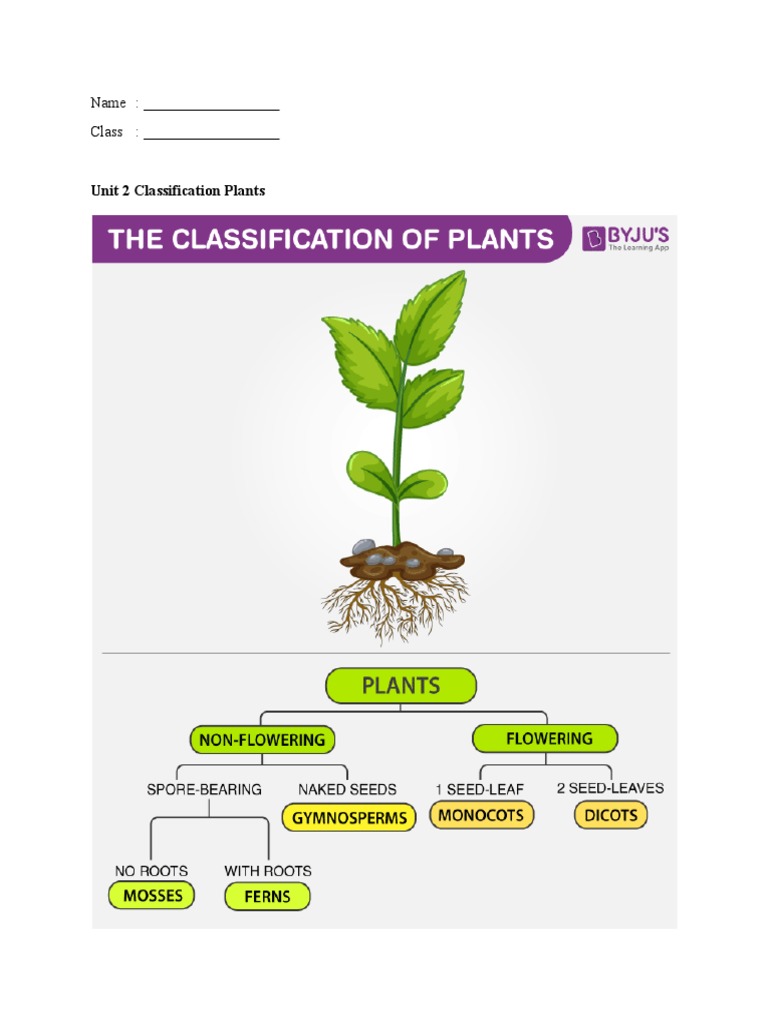 Flowering and Non-Flowering Plants | PDF | Science & Mathematics