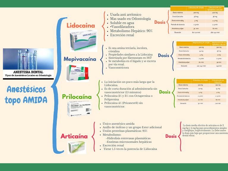 Anestésicos Tipo Amida | PDF