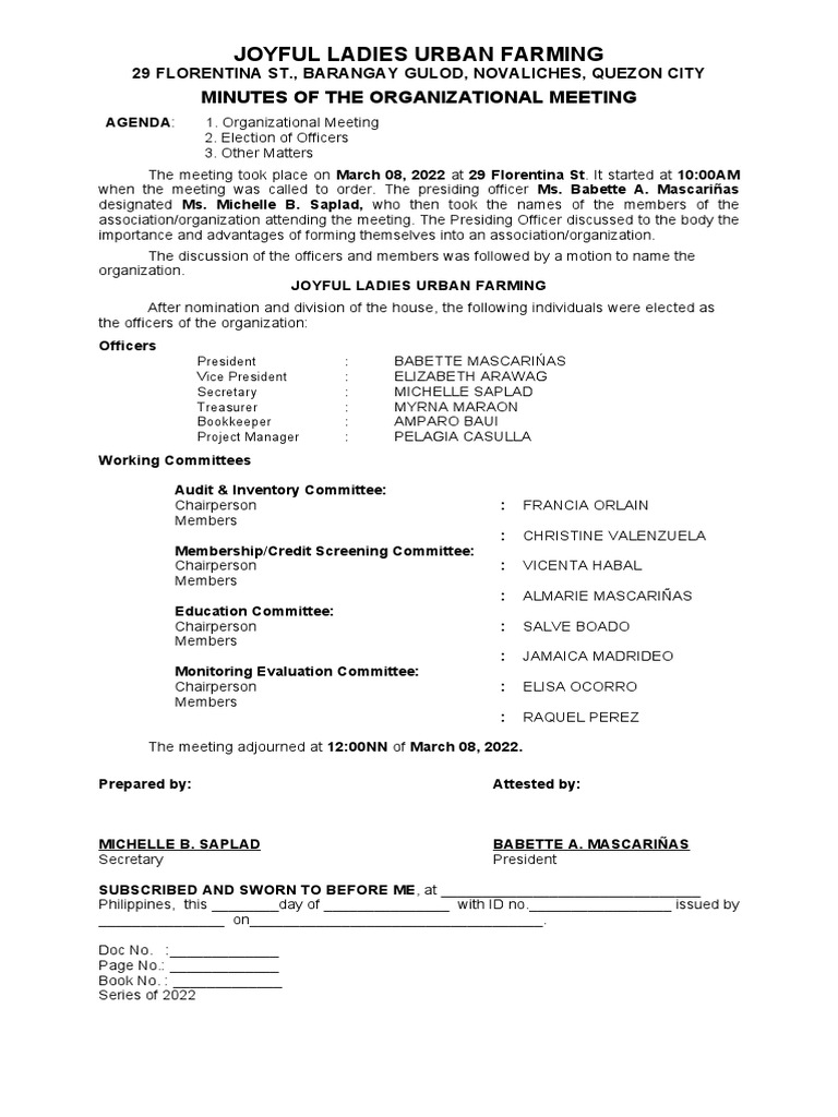 Minutes of The Organizational Meeting Format Example | PDF