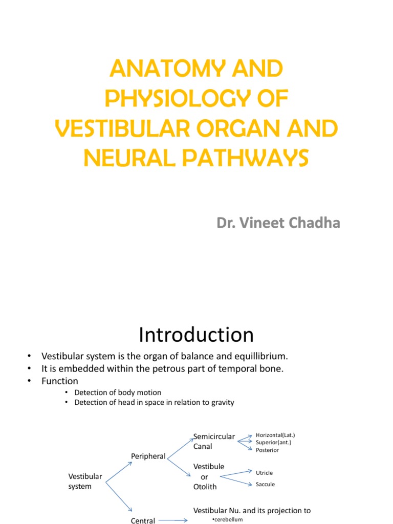 Anatomy and Physiology of the Vestibular Organ and Neural Pathways: A ...