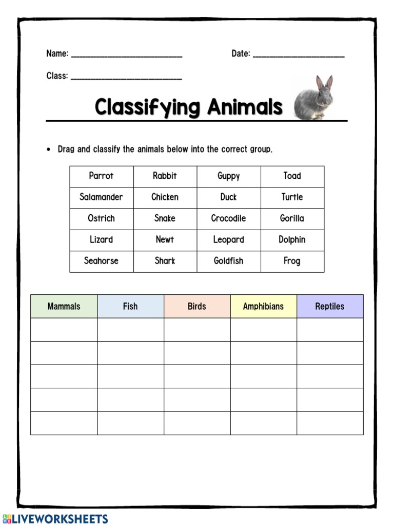Science Year 4 | PDF
