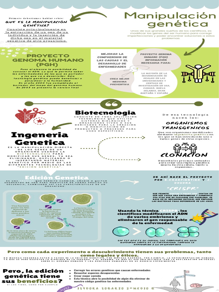 Manipulación Genética | PDF | Gene | Crispr