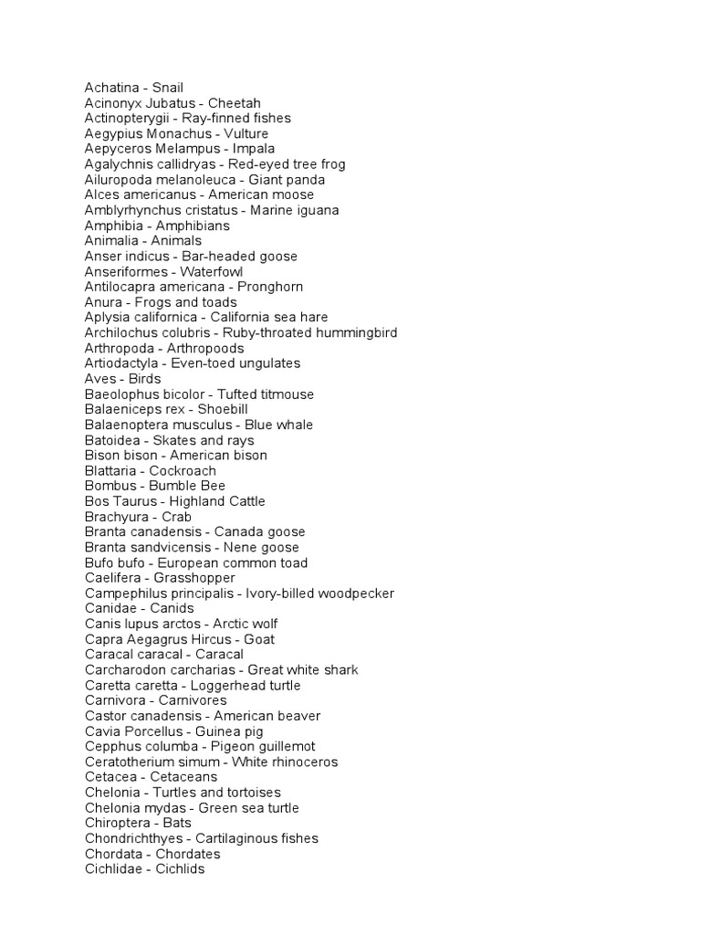 Latin Names of Various Animals | PDF | Panthera