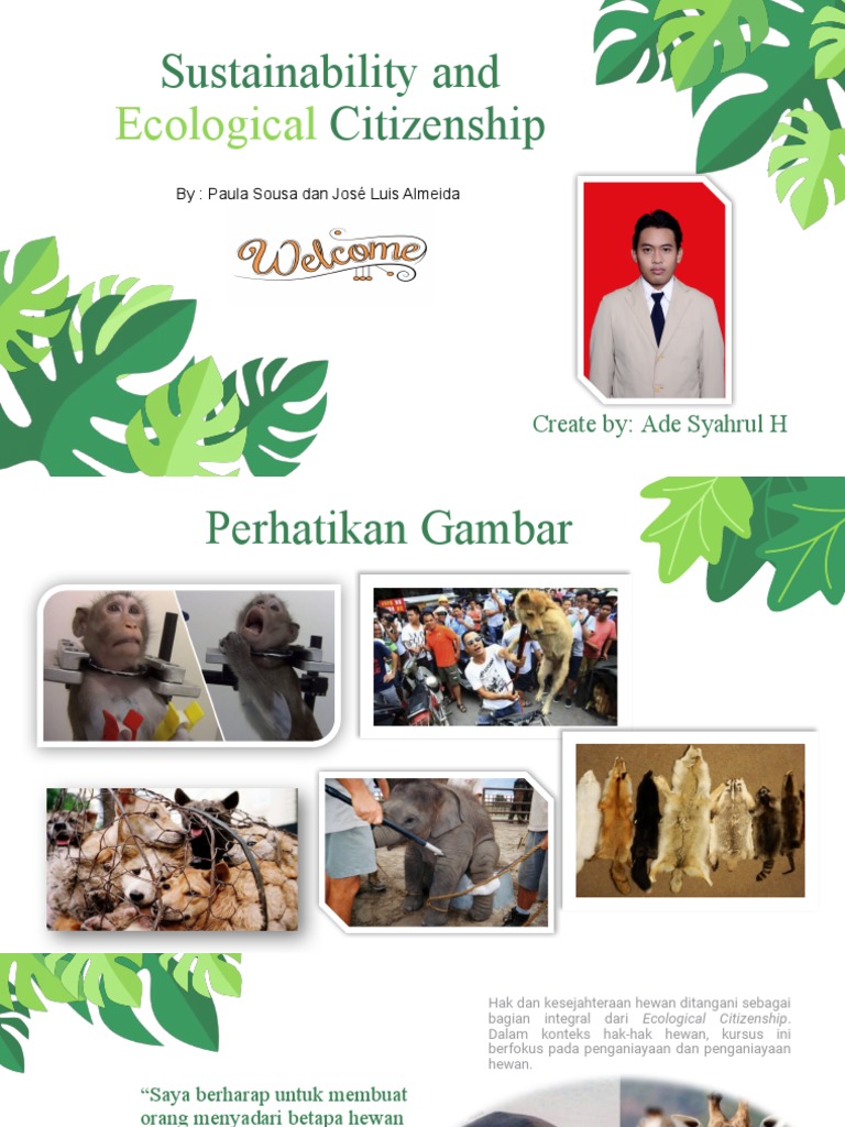 ADE Sustainability and Ecological Citizenship | PDF