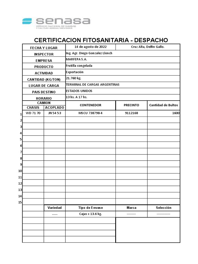 Planilla Despacho y Guia Remito Dgll | PDF