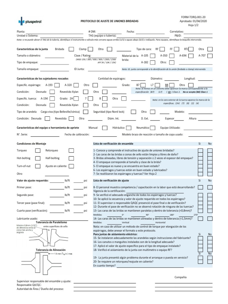 Formato Protocolo de Torque | PDF